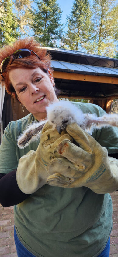 Wildlife in Need helps get injured animals to rehab centers | News ...
